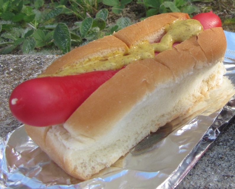 Looking Toward Portugal . . . .: Grilling Red Snappers - New Dispatches ...