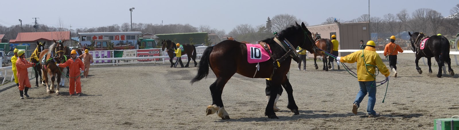 See Hokkaido: Obihiro Horse Racing （ばんえい競馬）