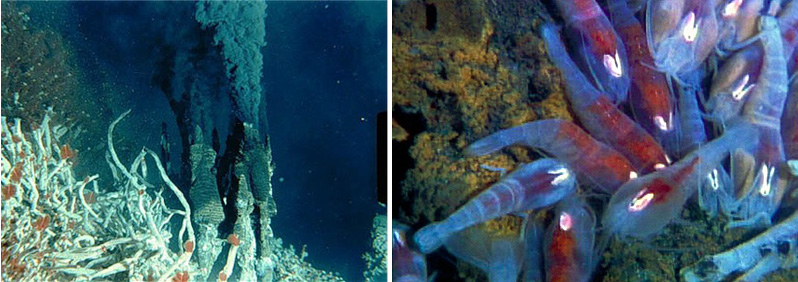 As Many Exceptions As Rules: June 2016