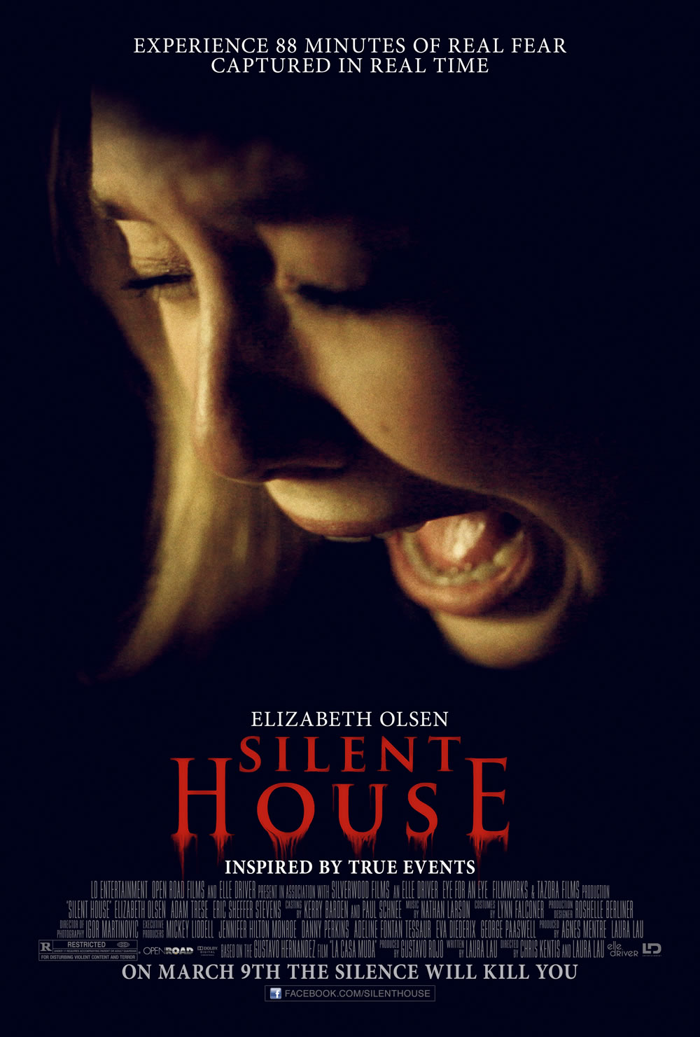 SILENT HOUSE (2011)