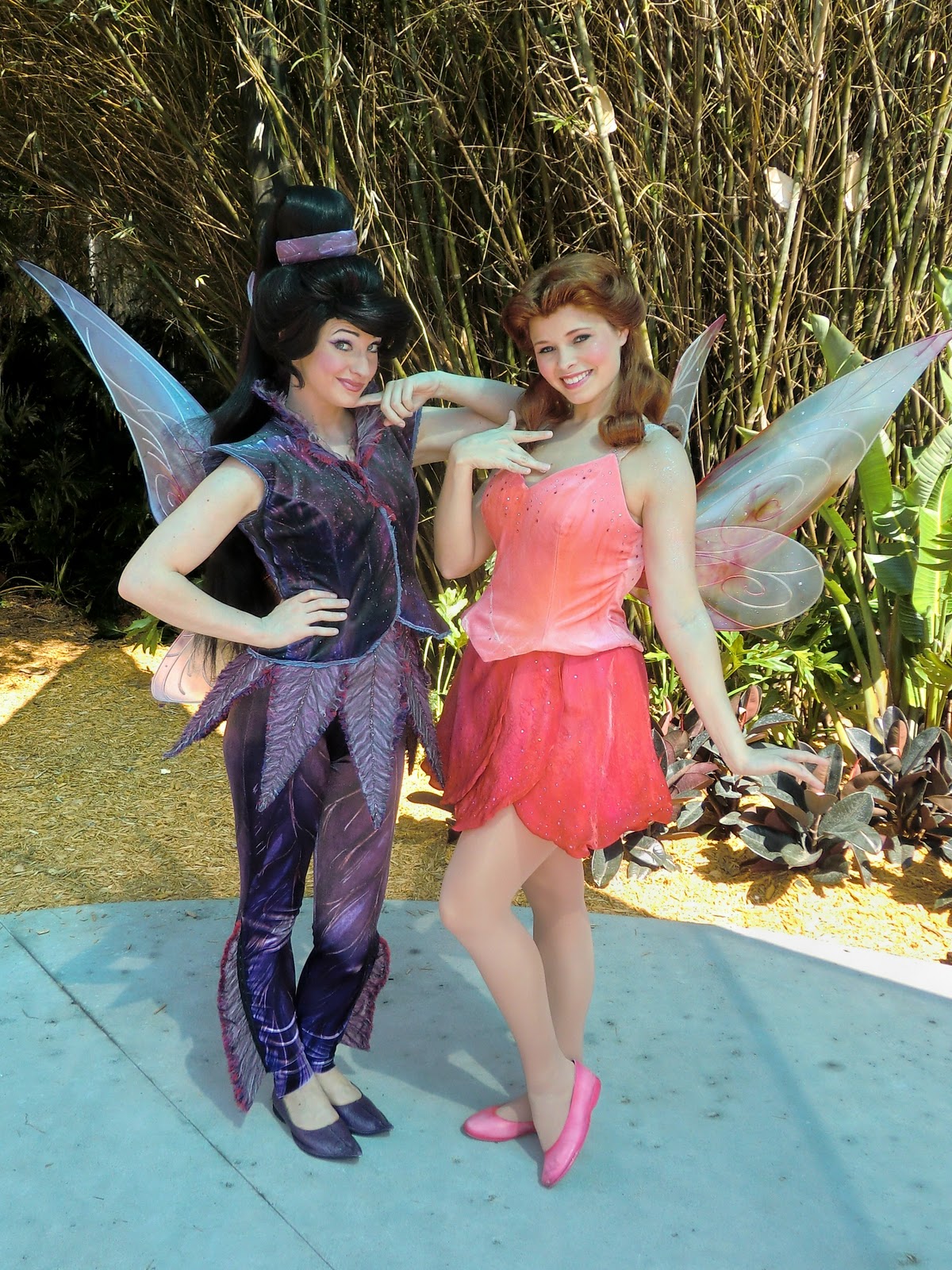 Tinkerbell Vidia Costume