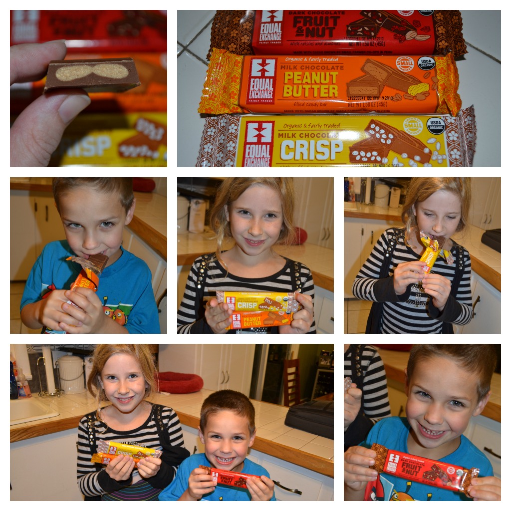 Equal Exchange Chocolate Bars ~ Simply Delicious! - Mama Luvs Books