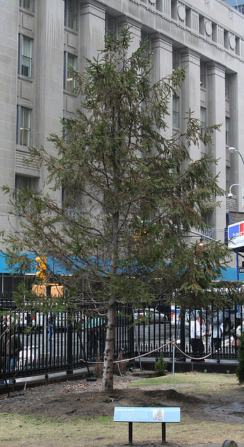 Out Of My Mind and Onto The Screen