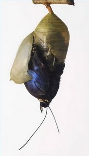 Eastern Service Workers Association