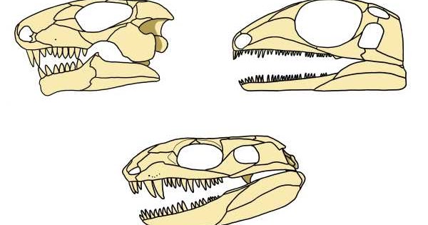 Paleoexhibit: Humble beginnings for the mighty diapsids: the ...