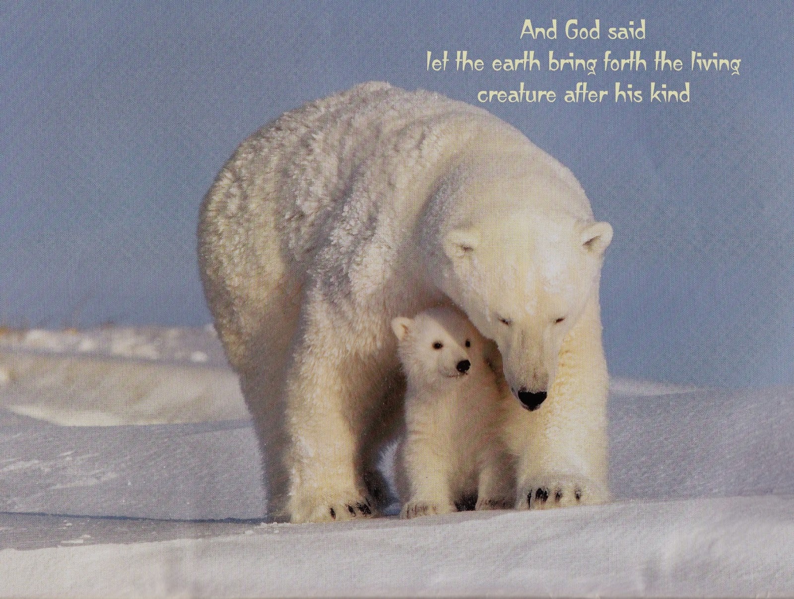 QSSP-THE GENESIS STUDY: Who Carries the Seed