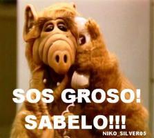 Espacio Raro: Imagenes Sos Groso