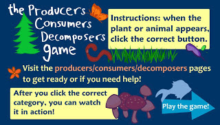 Bringing Science to You: Producers, Consumers and Decomposers GAME!!