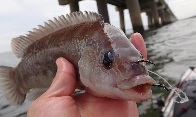 Angling Addict: Hues and Saturation