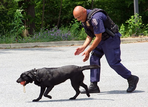 PGPD News: PGPD Hosting K9 Graduation