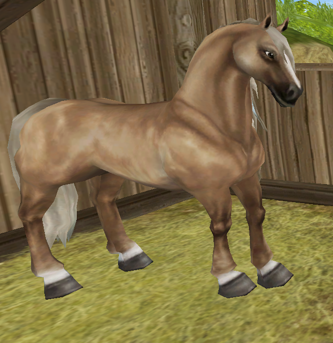 Capucine's Starstable: Tinker eller Andalusier?