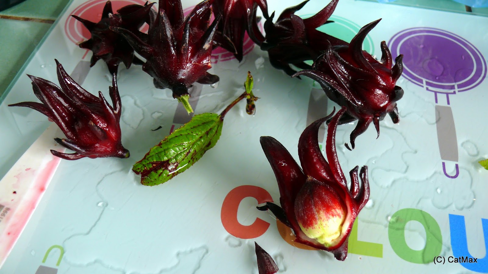 L'Aventure Martiniquaise: Le sirop de Groseilles Pays