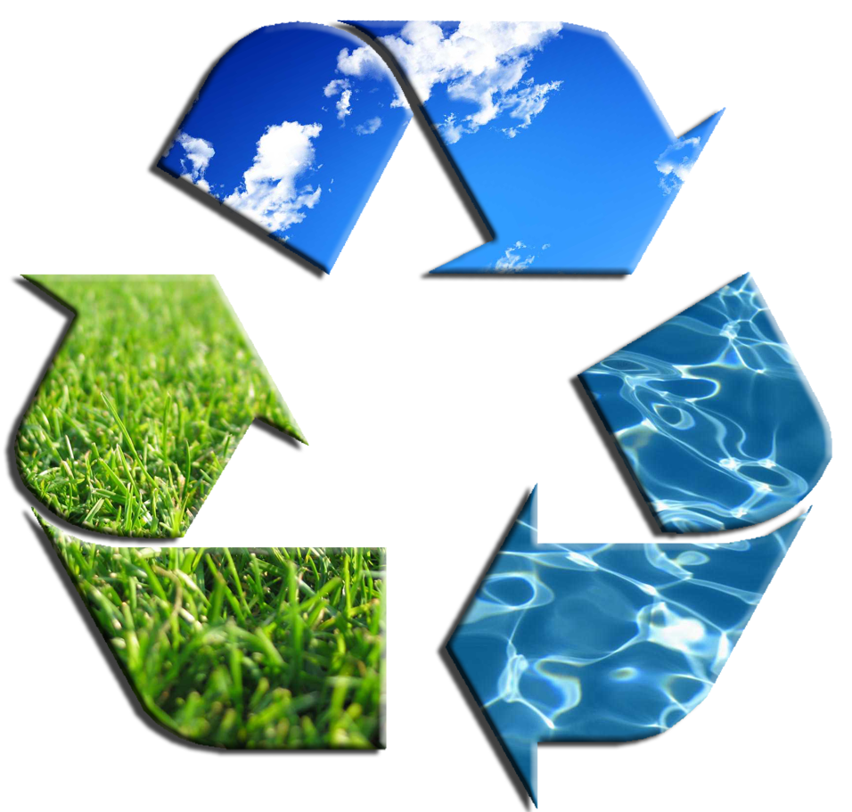 What are the health and environmental effects of dust emissions? - The ...