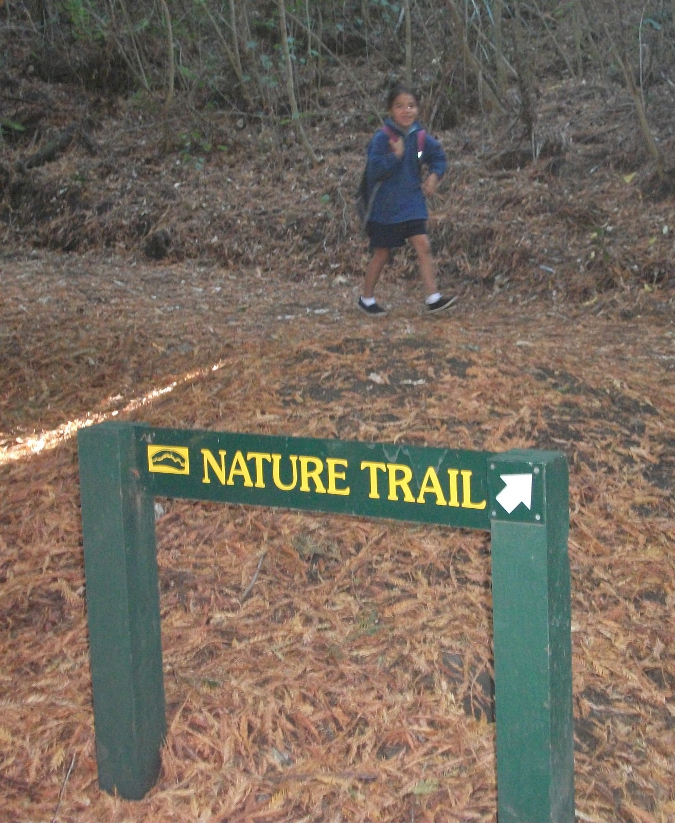 MIGHTY MAYFAIR 4: AA'S EOTC - KO RONGOKAKO - TE MATA PEAK AND WAIPATU MARAE