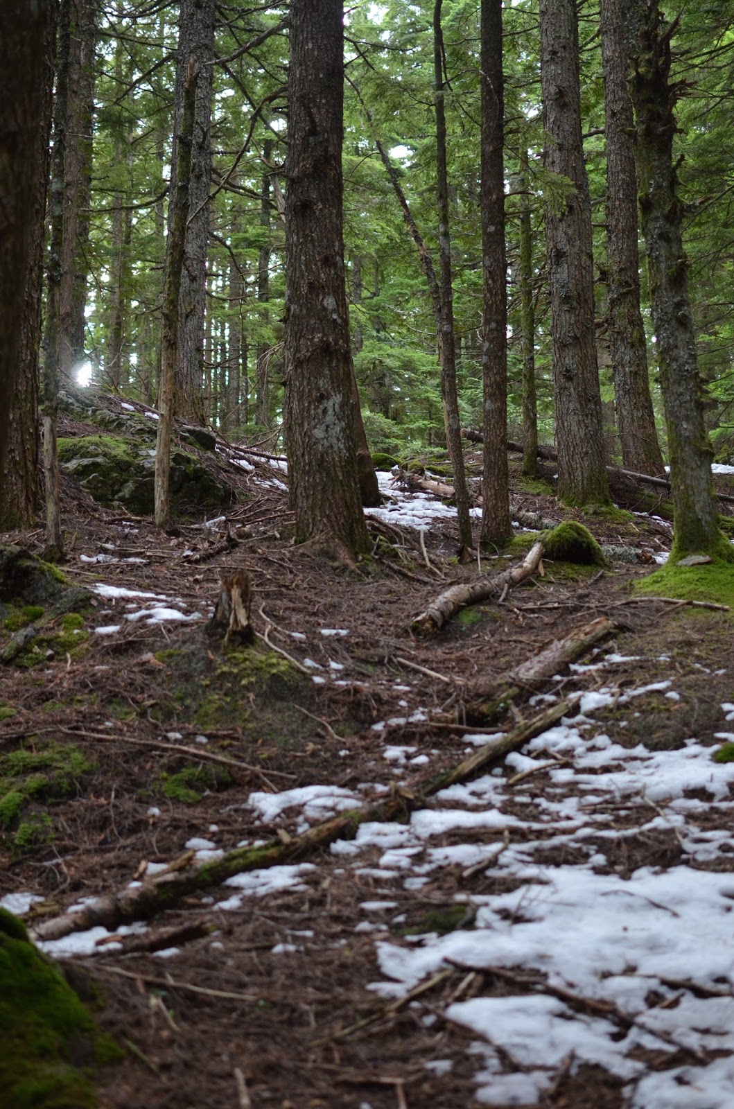 The Hapa Canadian: Dewdney Grind + Dewdney Peak, BC in November