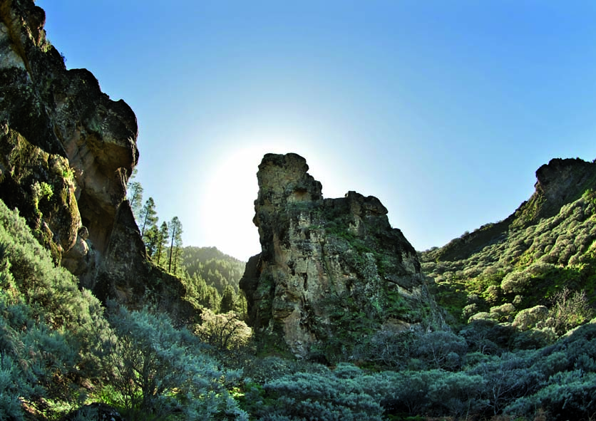 Mi Gran Canaria: GAMONAL, HOYA DEL (SAN MATEO)