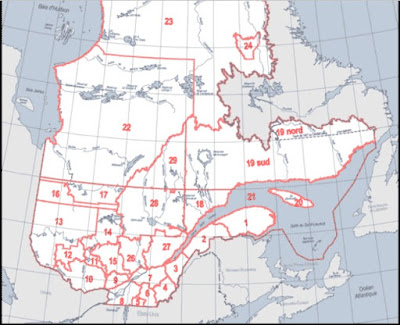 Blog de chasse au chevreuil à l'arc: Rejeter la chasse des traditions ...