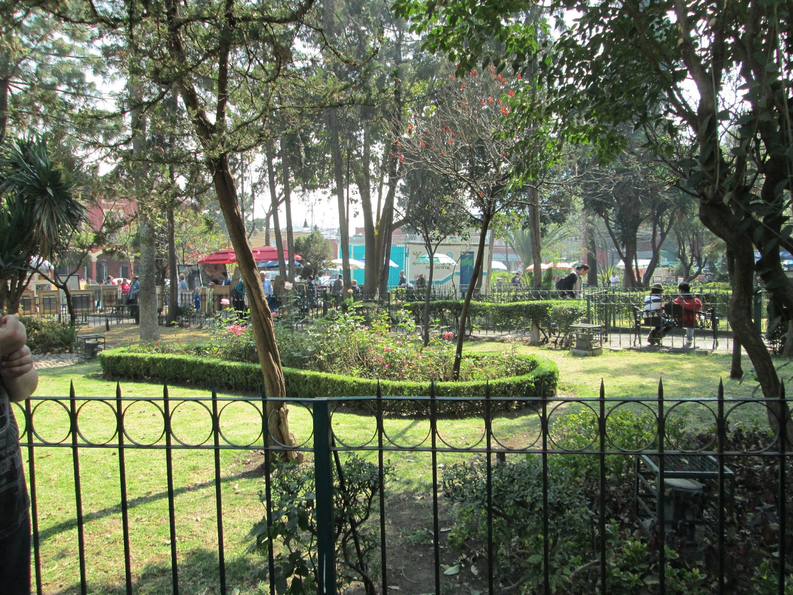 Jake, the Roving Librarian