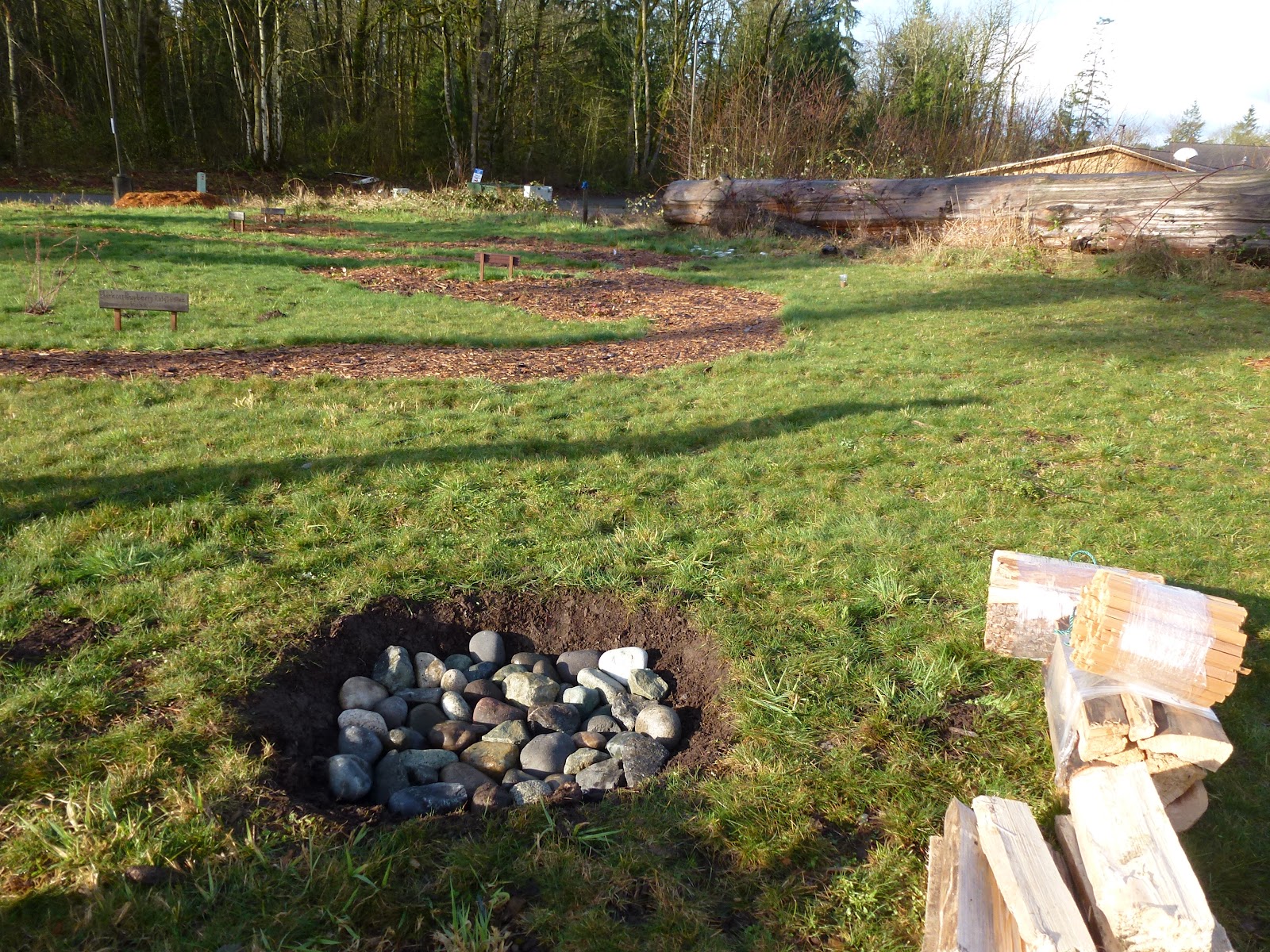 Wild Harvests: Earthen Pit Oven