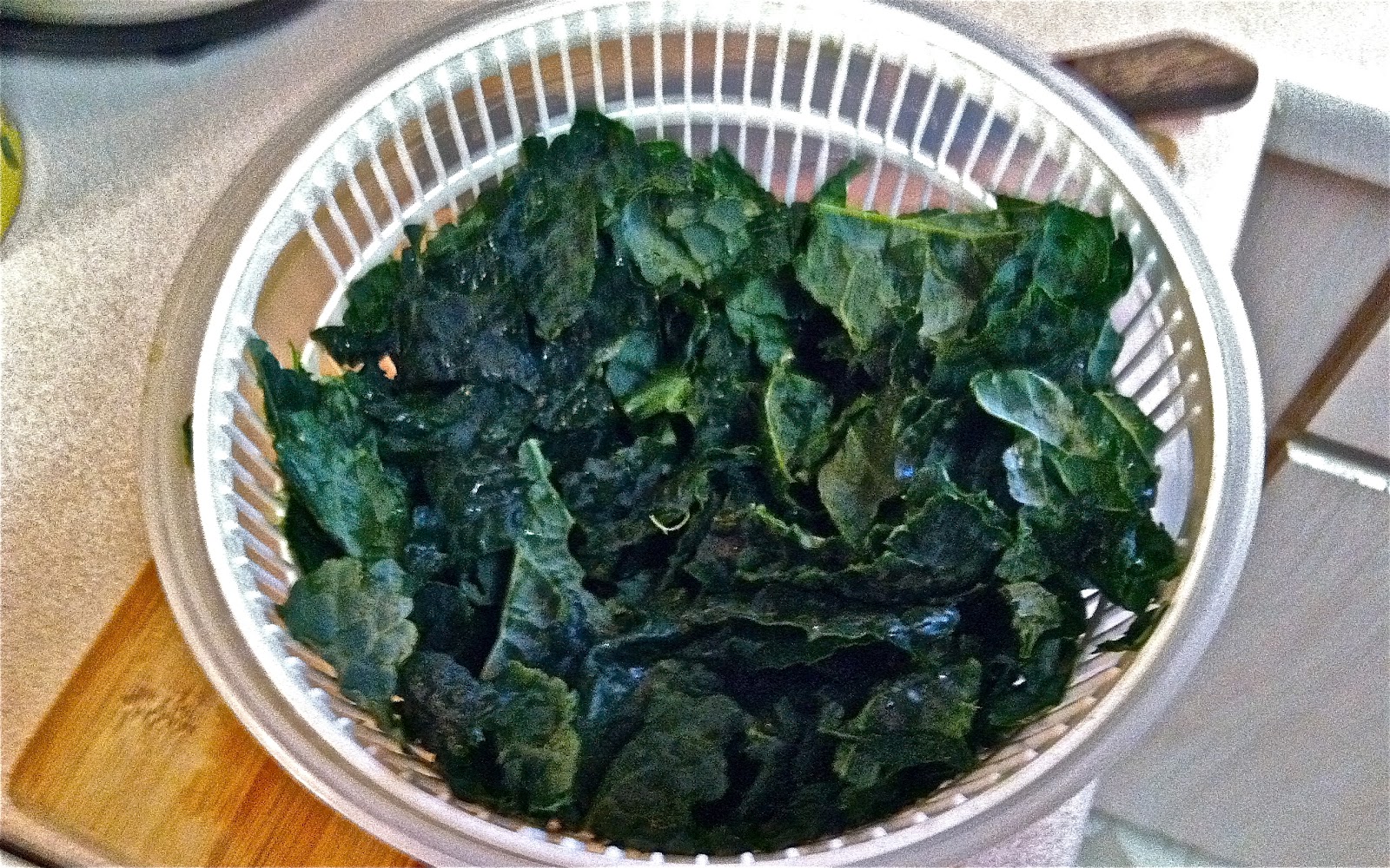 The Wise Owl Healing: Dead Bug Soup!