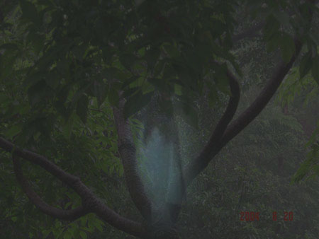 MOMIJI: Foto Setan Asli Hasil Penampakan