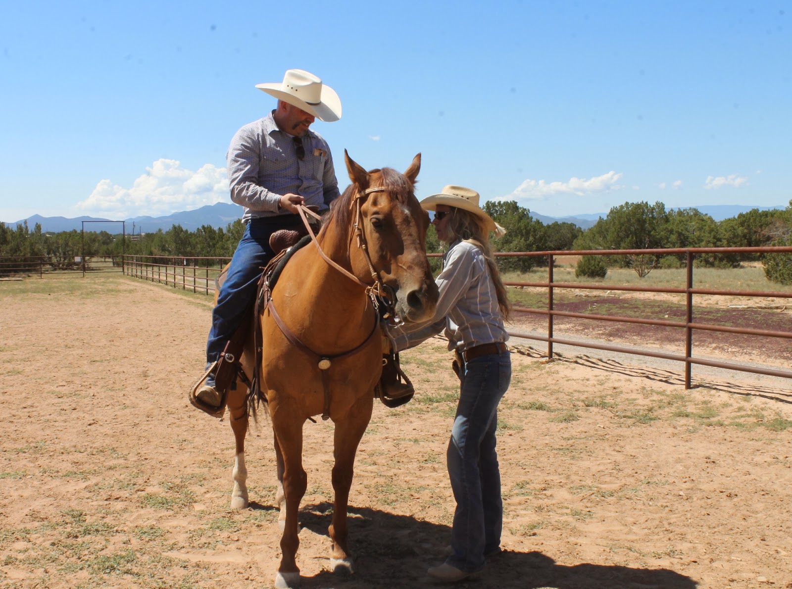 HORSES FOR HEROES New Mexico - Cowboy Up! 505-798-2535: Filming for ...