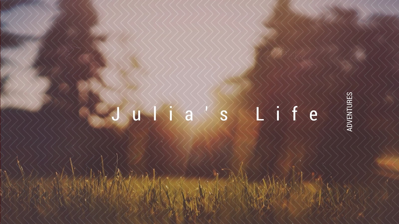 JULIA'S LIFE ADVENTURES