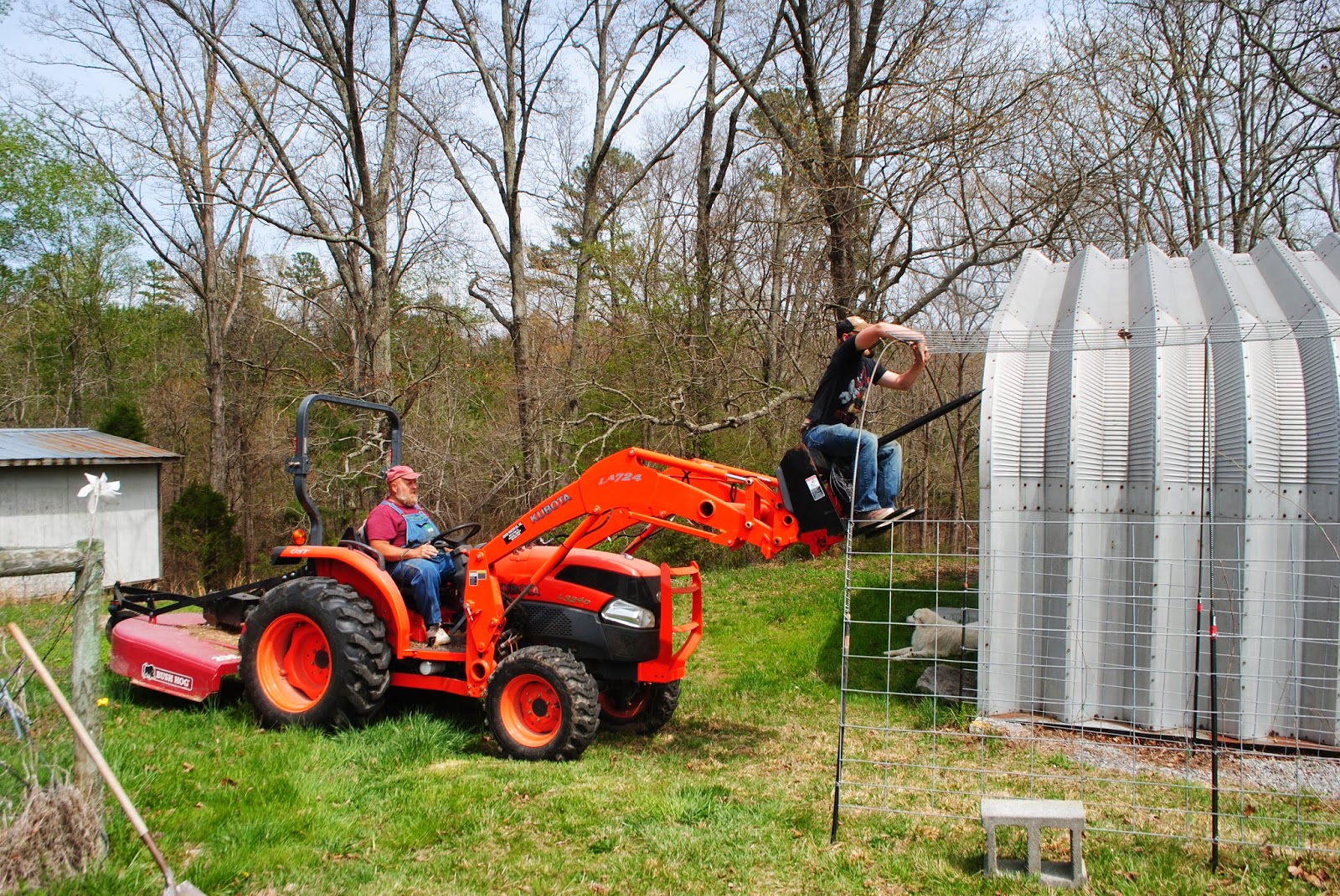 Adventures on Zephyr Hill Farm: DIY Rebar Grape Arbor