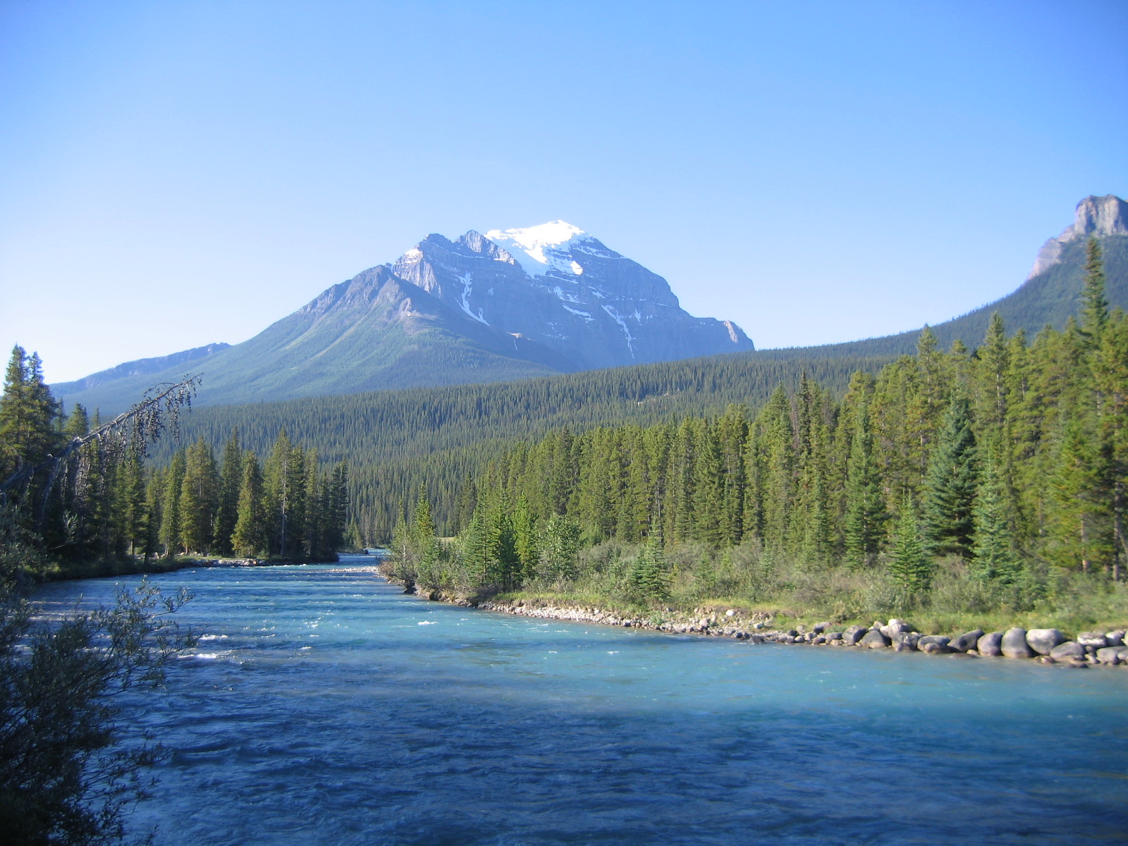 Wanderlust: Banff National Park: Bow River Loop Trail