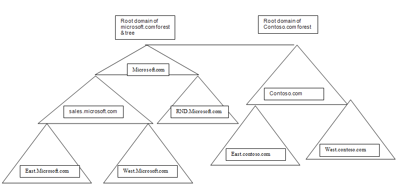 31.What does the logical component of the Active Directory structure ...