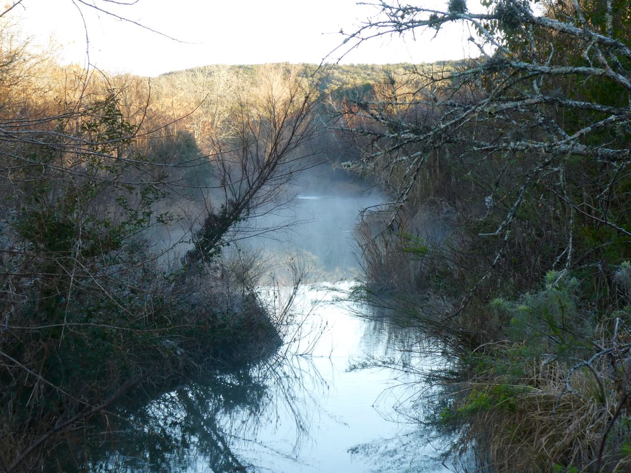Greg's Running Adventures: Deep in the Heart of Texas