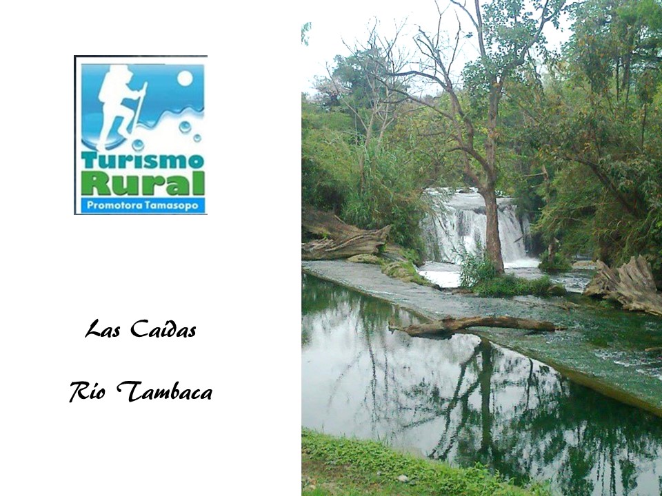 TAMASOPO, SAN LUIS POTOSÍ.: LAS CAÍDAS