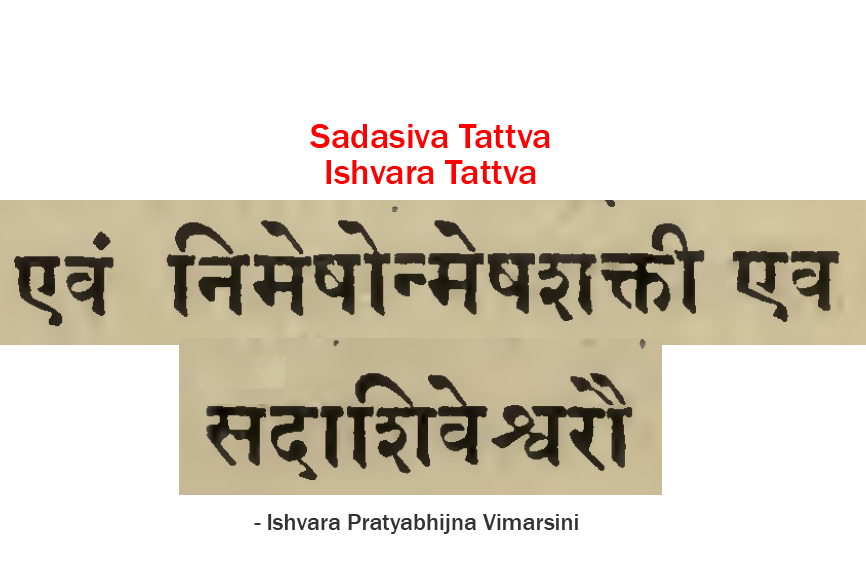 Books: The Sadvidya Book