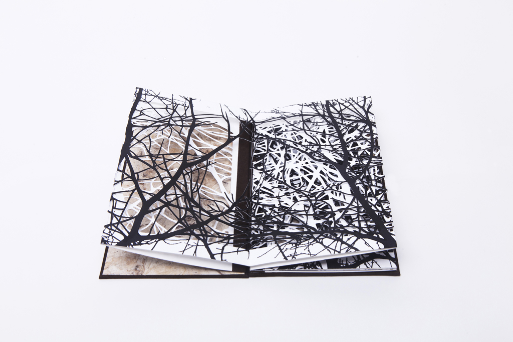 Crear y coleccionar libros de artista