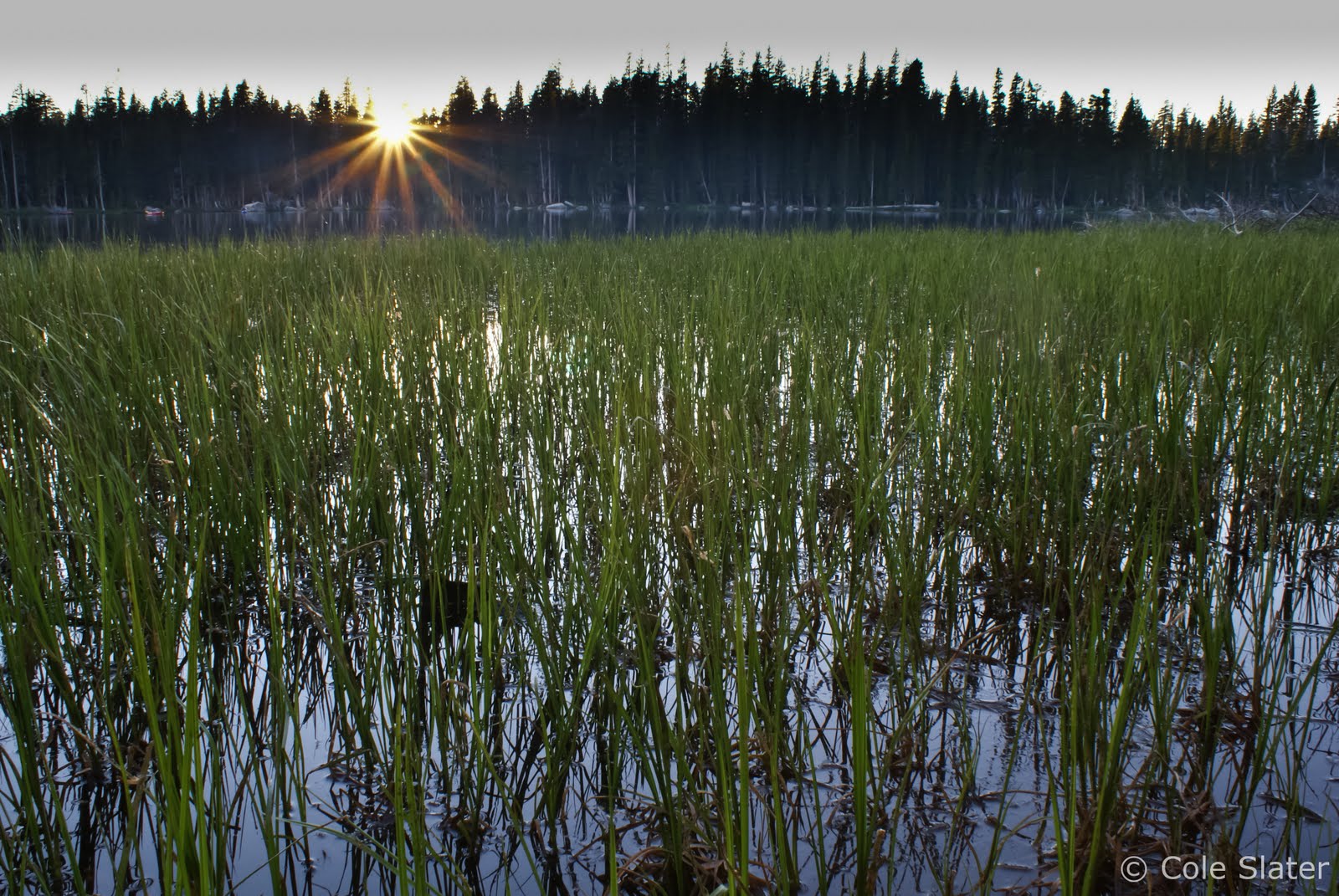 Cole's Trail Tales: Crystal Basin Trip Report - Day 4 - 8/9/11