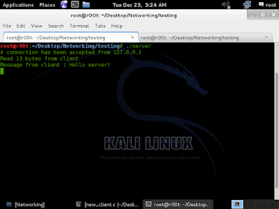 client server program in c ! | Programming : Ethical Hacker Way
