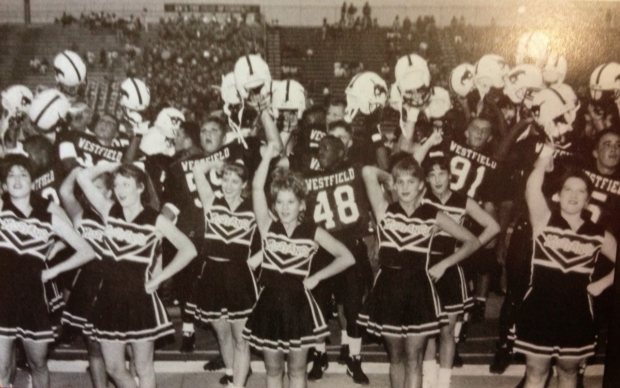 Westfield Class of 1995 Reunion: September 2014