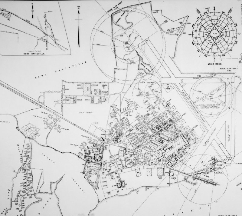 Lion Tales: The Making Of A Chief