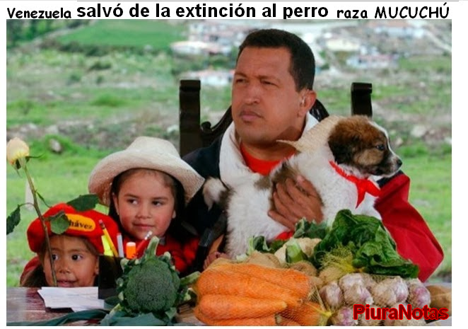 Pastor Chiribaya, el otro perro peruano//CULTURA CHIRIBAYA-->ILO MOQUEGUA