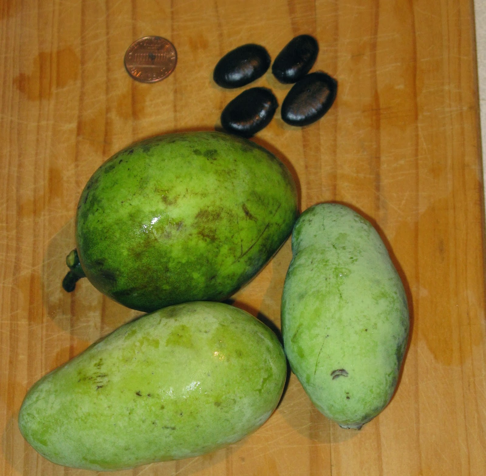 Two Peas in a Pod: Paw Paws Part 2: Smoothie Adventure