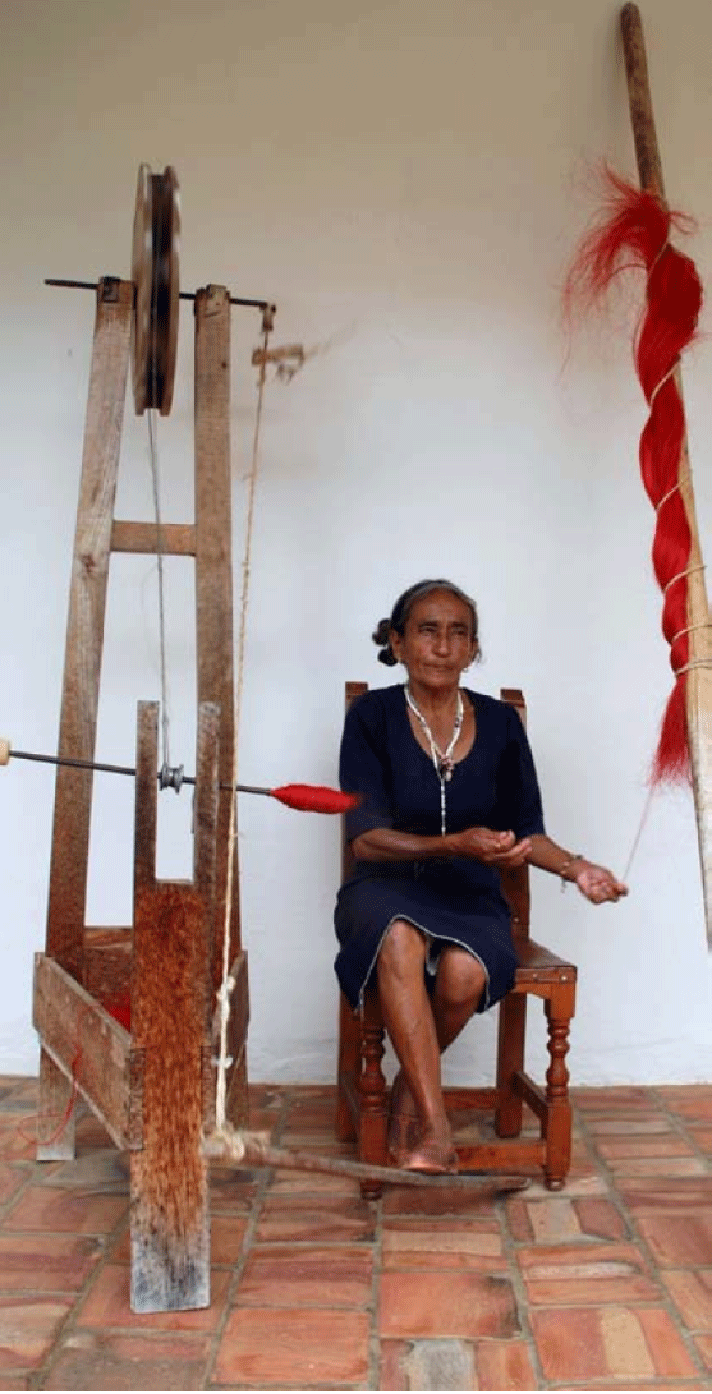 andandoporbogota: EL FIQUE: UNA PLANTA INDUSTRIAL DE ELEVADAS ...