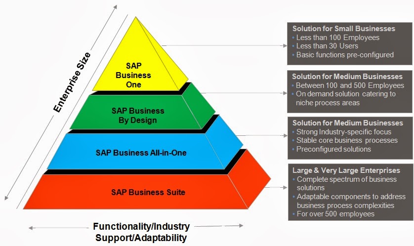 SAP Basis Consulting : SAP Overview :The Basic Fundamentals
