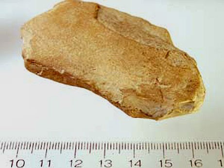 Walker Hill's "oldest stone tools in America", a silenced finding ...