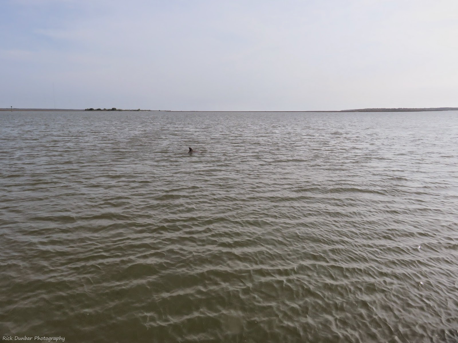 Vacation Rick: A Charleston Barrier Island Tour Highly Worth A Trip To ...