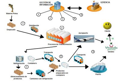 PROCESO DE PRODUCCIÓN: INTRODUCCIÓN