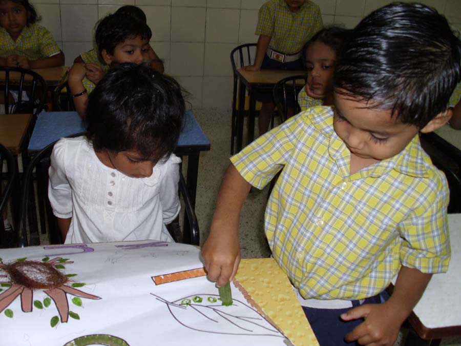 SUNFLOWER SCHOOL: Class Activities of Pre- primary