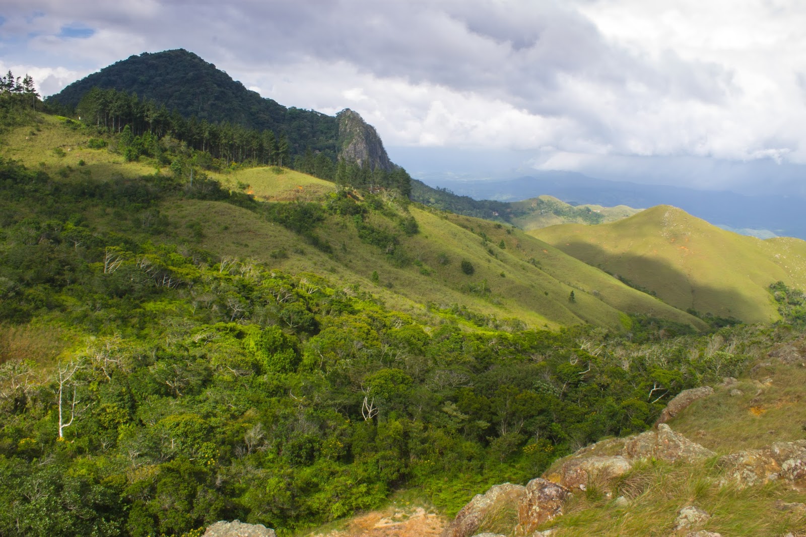 Monumentos Naturales Panamá: Monumento Natural Chica Capira Panamá