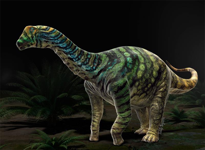 Species New to Science: [Paleontology • 2013] Brasilotitan nemophagus ...