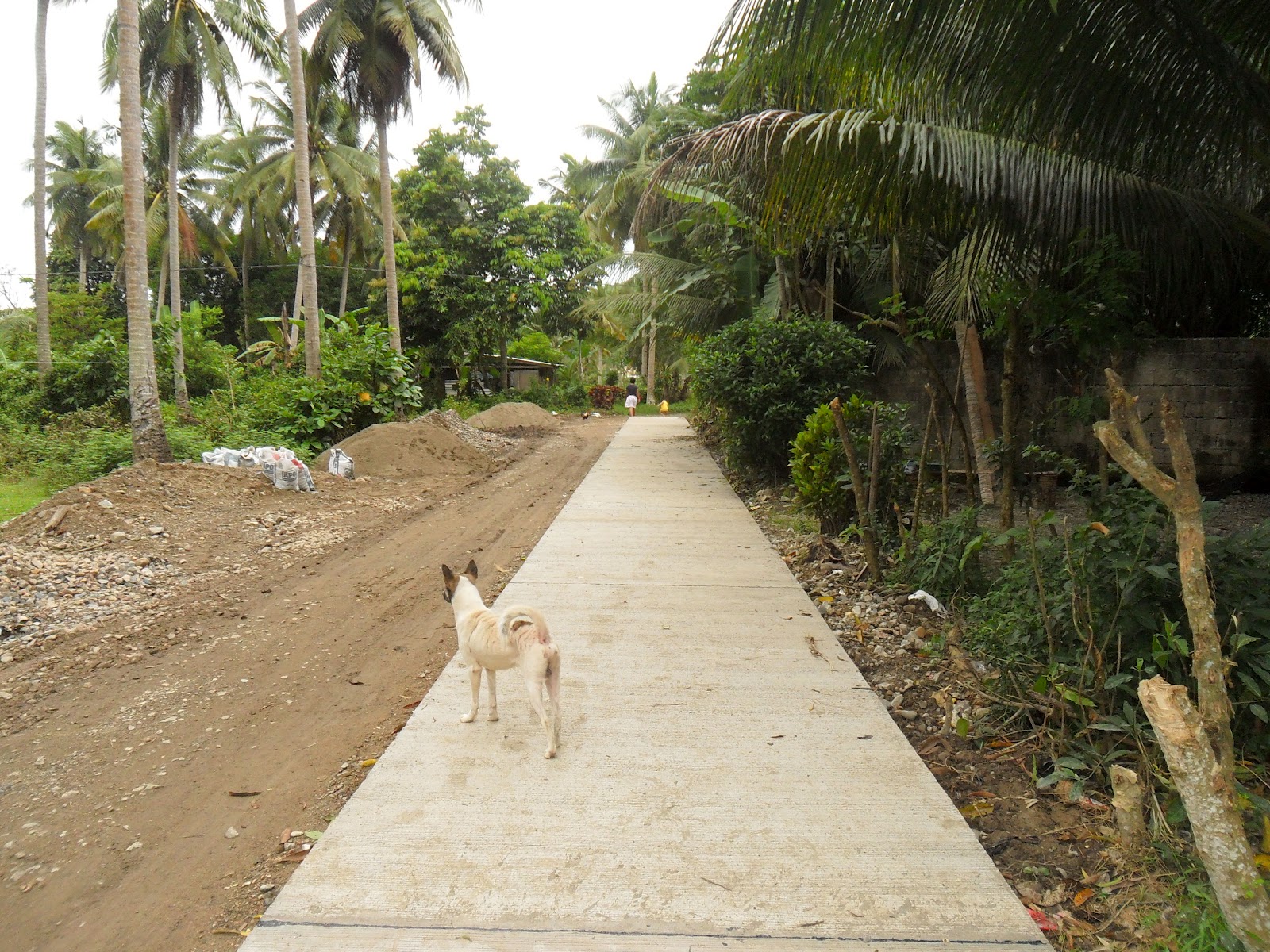 Marinduque Rising: More infra projects in Mogpog