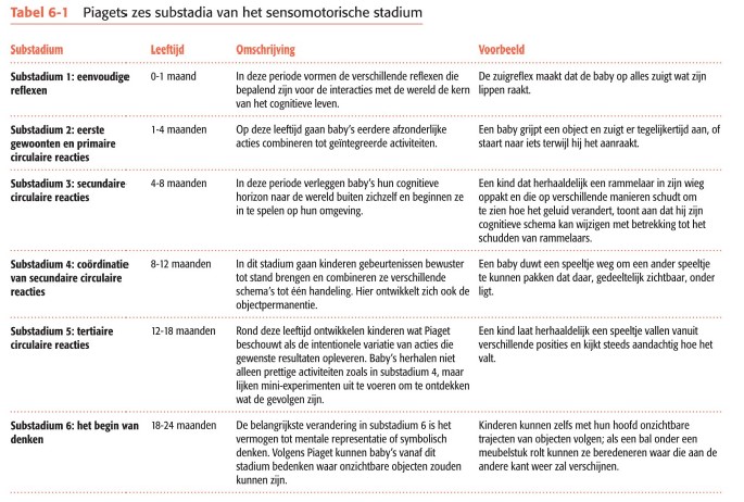H6. De cognitieve ontwikkeling in de babytijd ~ Psychstudie